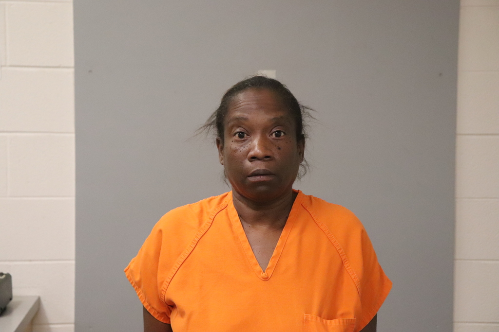 UNDERWOOD DEBORAH WHITEHEAD 11/17/2020 - Madison County Mugshots Zone