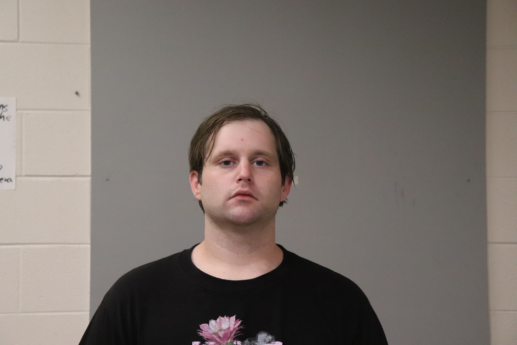 REED BLAKE ANDREW 11/21/2020 - Madison County Mugshots Zone