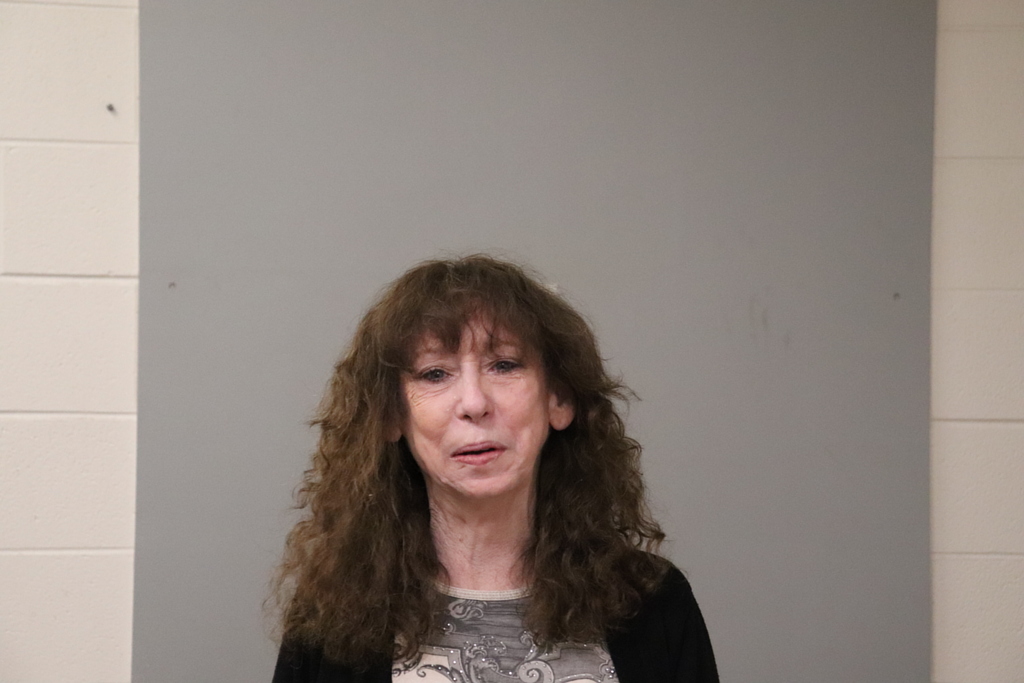 LAMONS BARBARA JOE FULLINGTON 11/26/2020 - Madison County Mugshots Zone