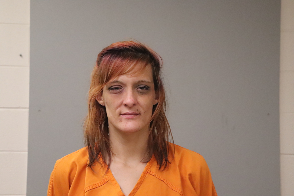 BUTLER JESSICA NICHOLE 12/17/2020 - Madison County Mugshots Zone