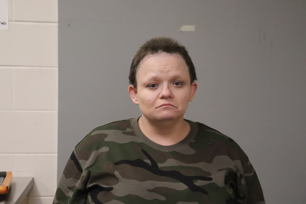 BOLEY TABITHA ANN 12/18/2020 - Madison County Mugshots Zone