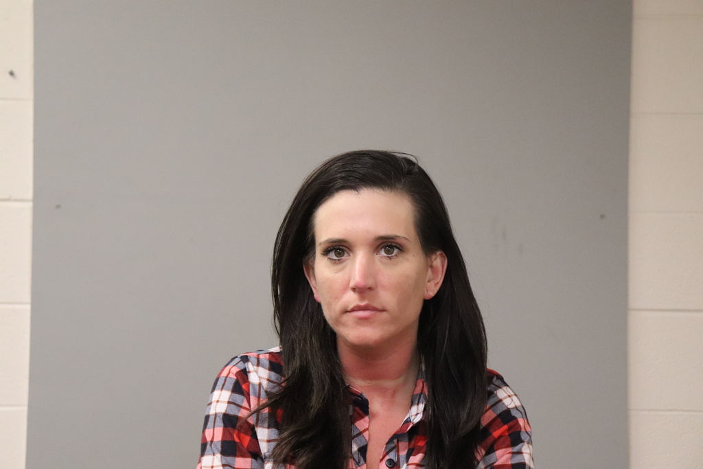 SCHILLO JACQUELYN VICTORIA 12/18/2020 - Madison County Mugshots Zone