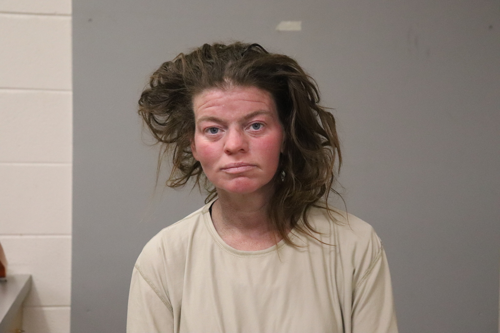 HOWELL ANDREA RENEE 12/23/2020 - Madison County Mugshots Zone