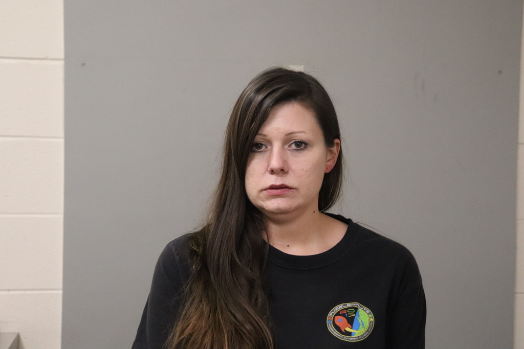 SANDERS TAMERA ANN 12/25/2020 - Madison County Mugshots Zone