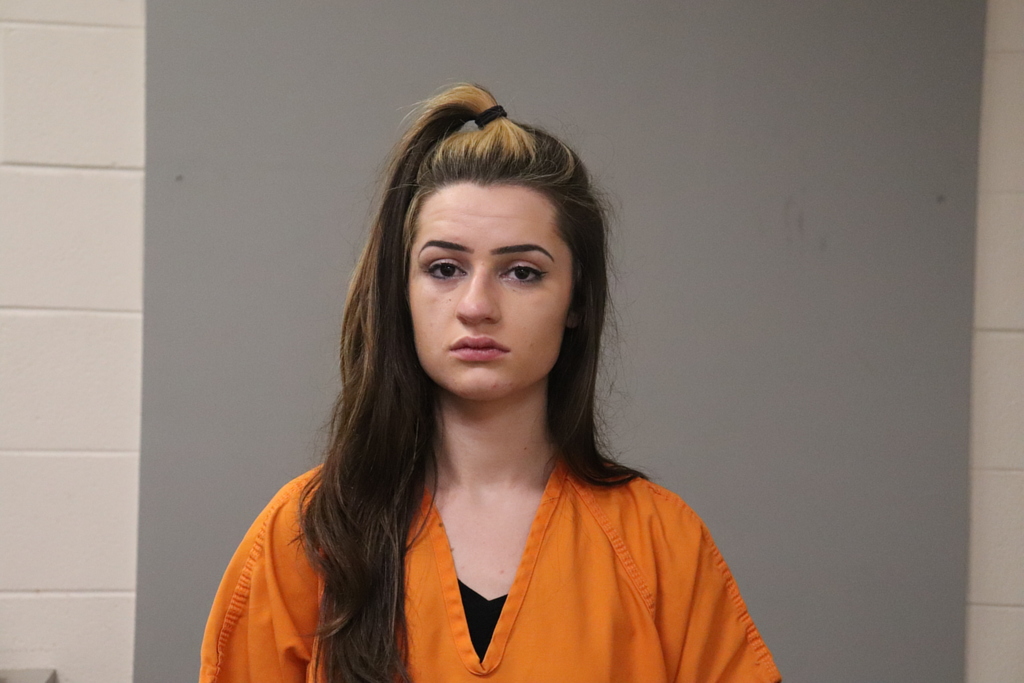 BRIMEYER MICHELLE ERIN 12/31/2020 - Madison County Mugshots Zone