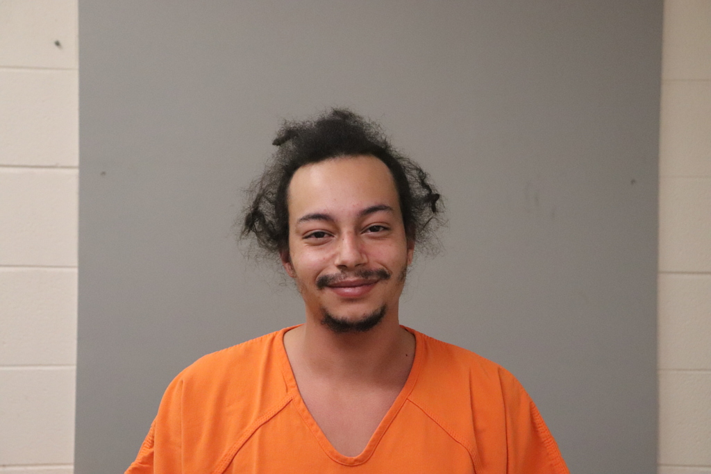 HAMILTON JORDAN THOMAS 01/16/2021 - Madison County Mugshots Zone