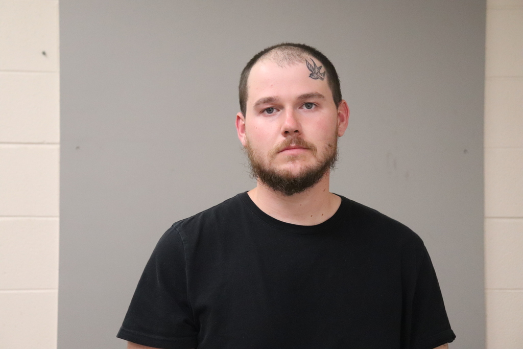 TURNER JAKE FITZGERALD 01/19/2021 - Madison County Mugshots Zone