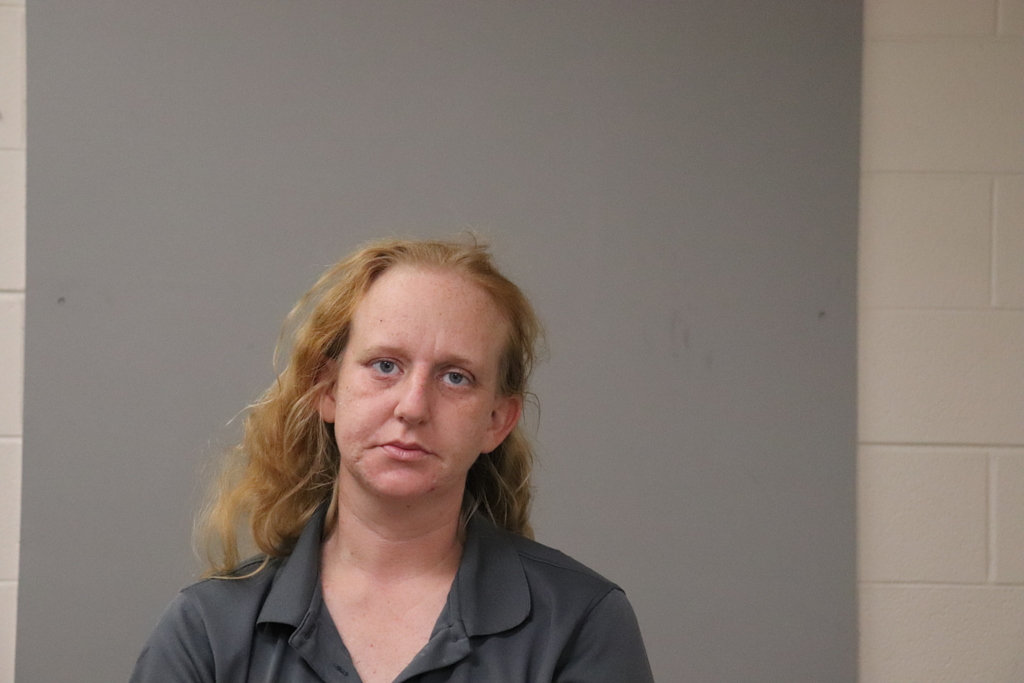 PIKE HEATHER YVONNE 01/20/2021 - Madison County Mugshots Zone