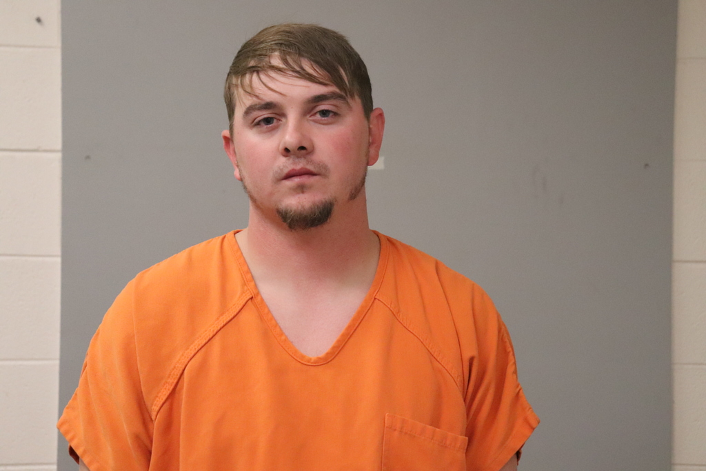 WILLIS DYLAN SHANE 02/02/2021 - Madison County Mugshots Zone