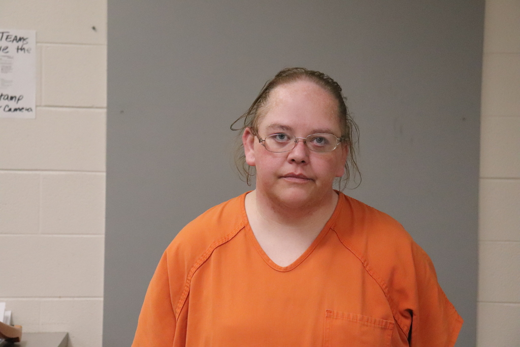 SHANNON JOYCE ANN 02/04/2021 - Madison County Mugshots Zone