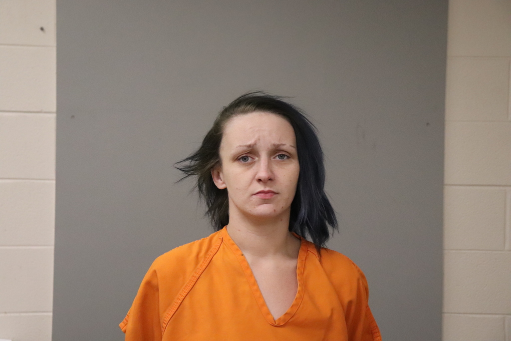 DAUGHERTY BRITTANY NICOLE 02/05/2021 - Madison County Mugshots Zone