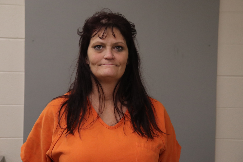 STROUT SAMANTHA ANN 02/08/2021 - Madison County Mugshots Zone
