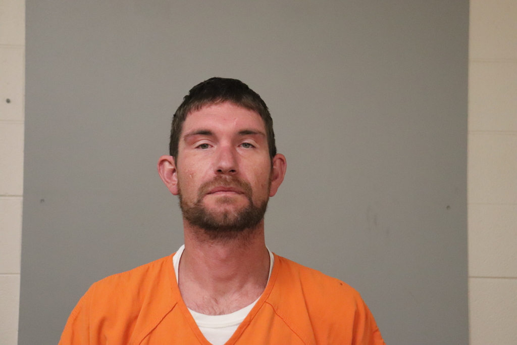 MICKEL BRIAN STEVEN 02/12/2021 - Madison County Mugshots Zone