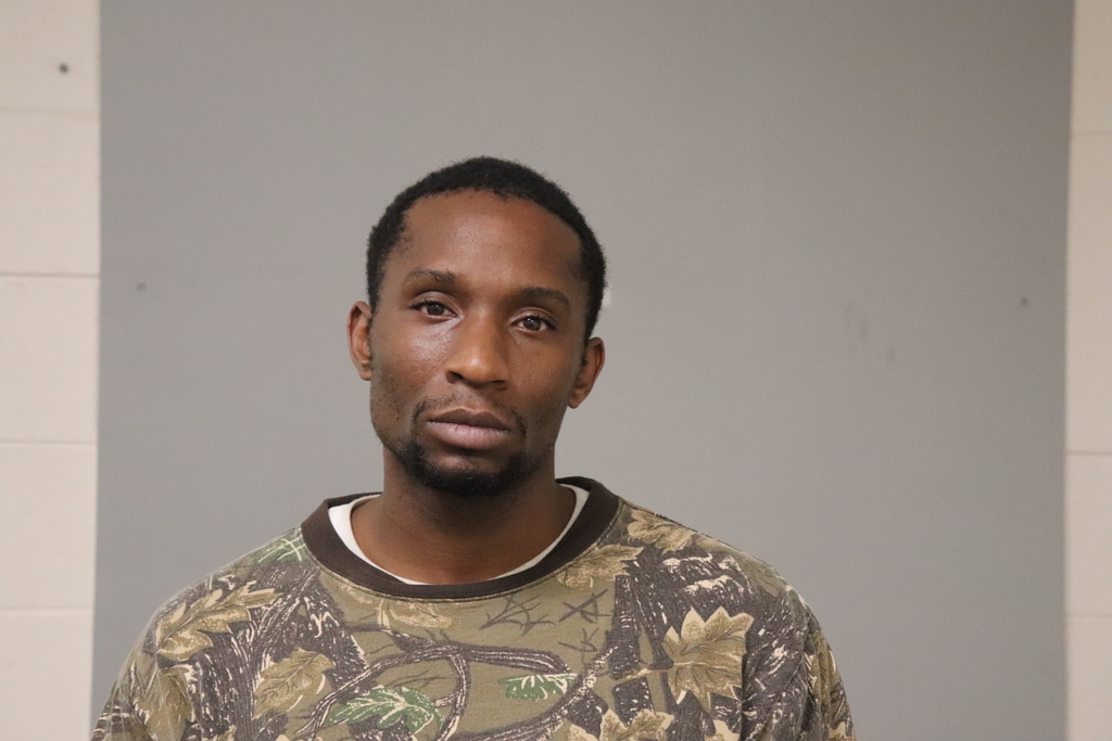 MCELROY DEVONTE RAKIM 02/14/2021 - Madison County Mugshots Zone