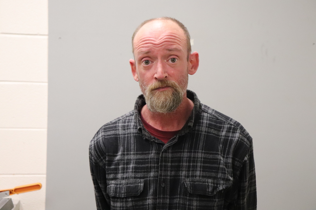 WILSON BRANDON DELAINE 02/24/2021 - Madison County Mugshots Zone