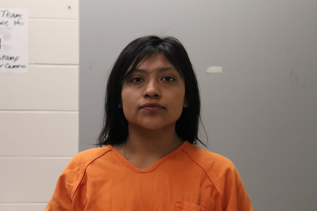 ALONZO ERICA DOMINGO 03/18/2021 - Madison County Mugshots Zone