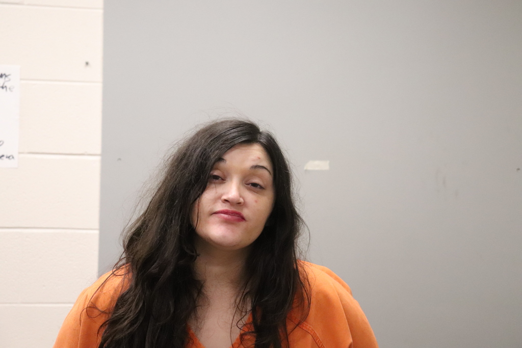 MERTZ MEGAN ELIZABETH 03/19/2021 - Madison County Mugshots Zone
