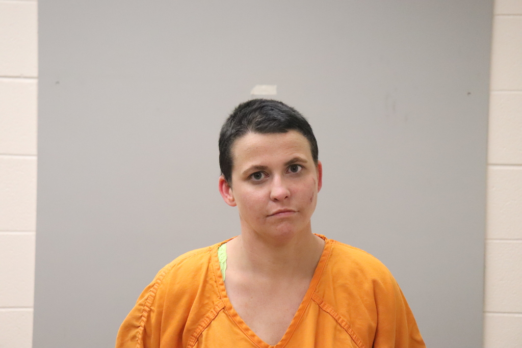 HANSEN JESSICA LYNN 03/27/2021 - Madison County Mugshots Zone