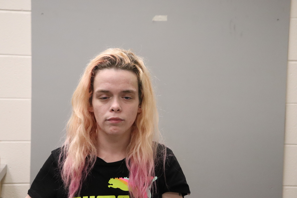SMITH MONICA BLAISE 03/27/2021 - Madison County Mugshots Zone