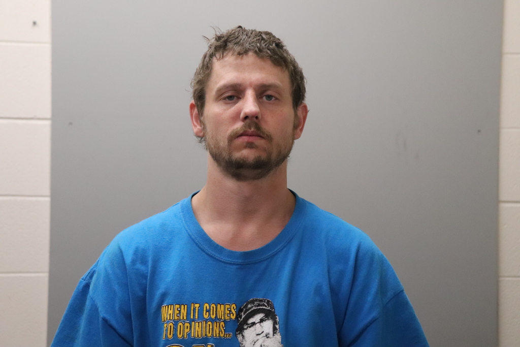 WELLINGTON ROBERT LEVI 03/29/2021 - Madison County Mugshots Zone