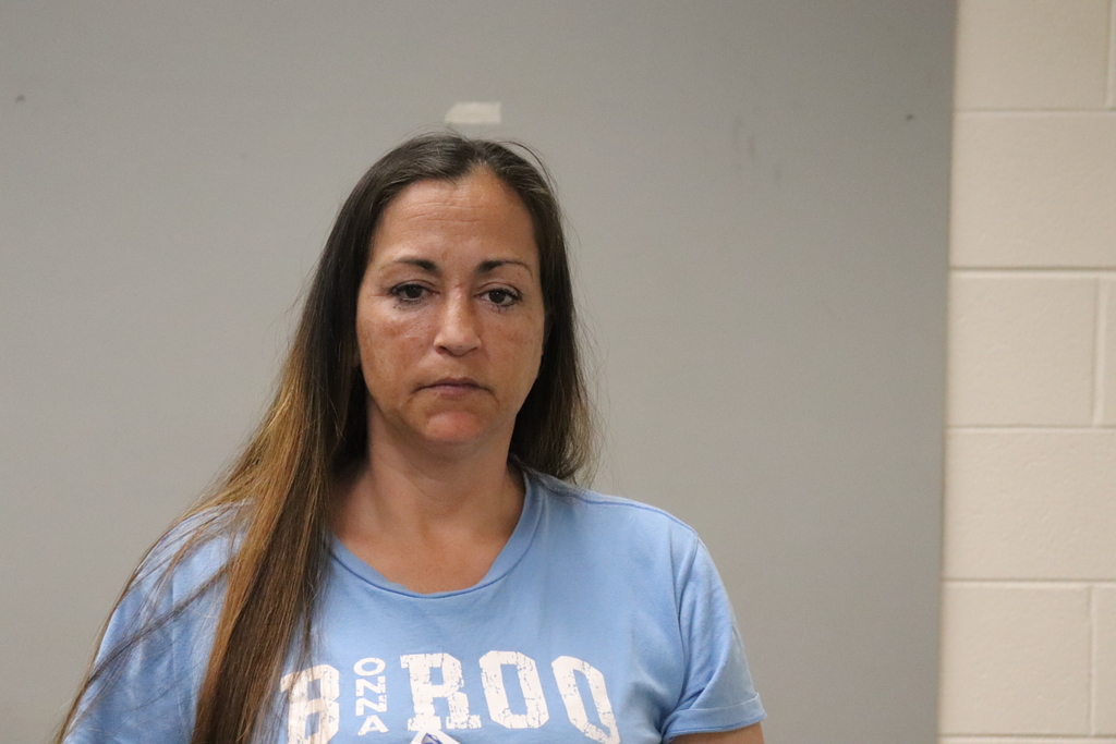 LOGAN BRANDY LEE 03/30/2021 - Madison County Mugshots Zone