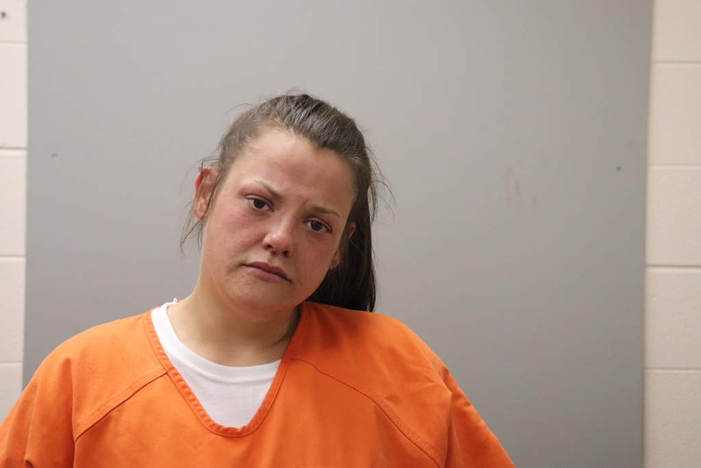 VICK ASHLEY NICOLE 04/07/2021 - Madison County Mugshots Zone