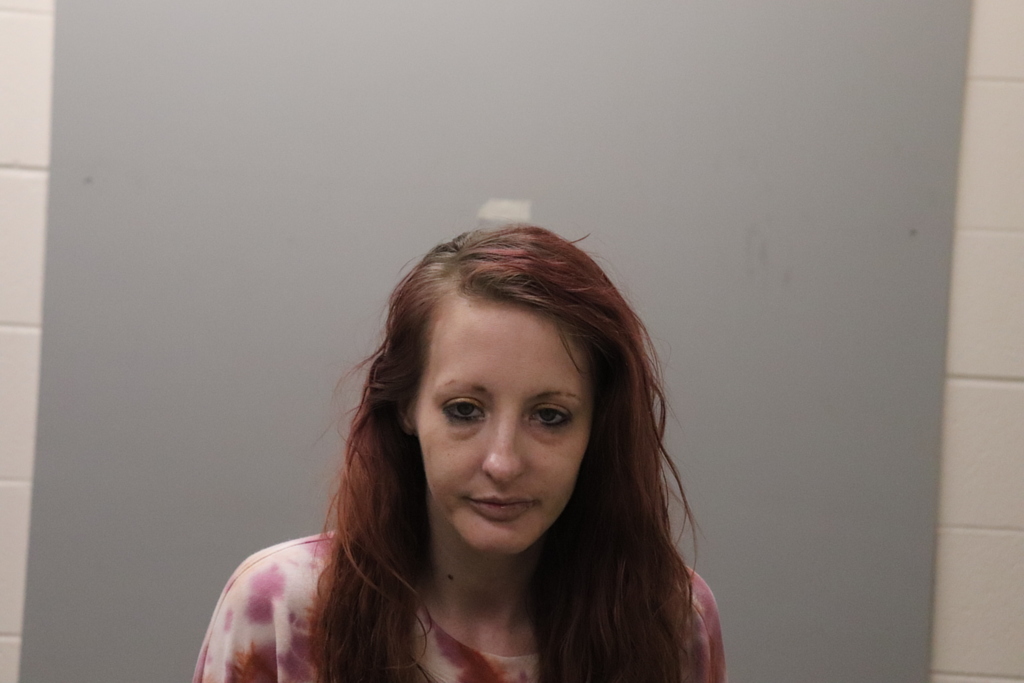 QUILLIN RACHEL LAUREN 04/09/2021 - Madison County Mugshots Zone