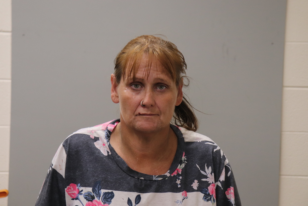 DAVIS ANGI LYNN 04/11/2021 - Madison County Mugshots Zone