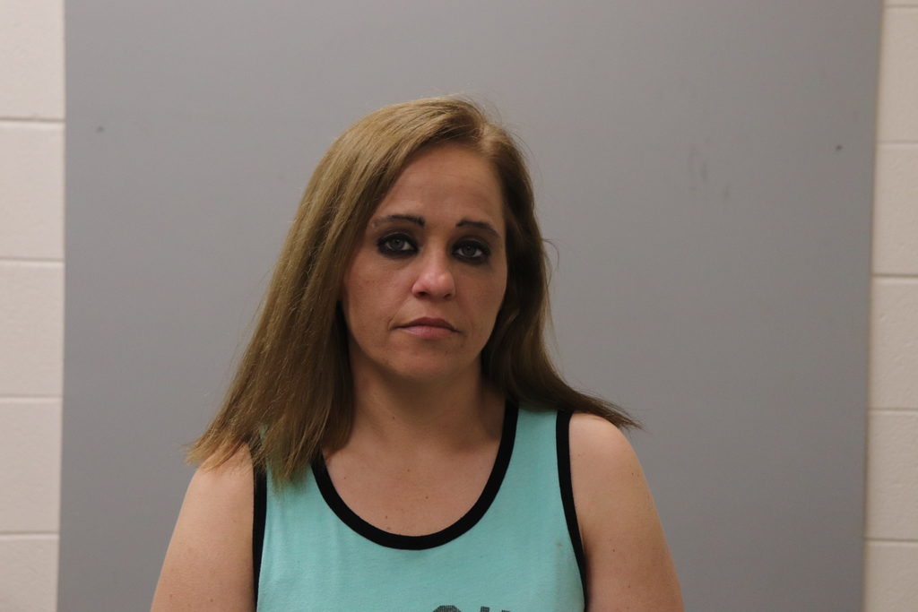 CLEMONS LAURA RENEE 04/13/2021 - Madison County Mugshots Zone