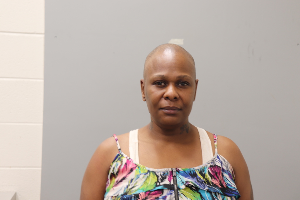 SIMPSON FREDA NICOLE 04/19/2021 - Madison County Mugshots Zone