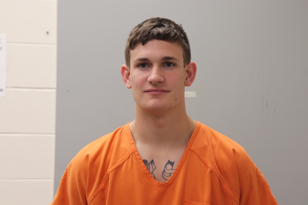 PELLETIER DOMINIC GRAY 05/01/2021 - Madison County Mugshots Zone