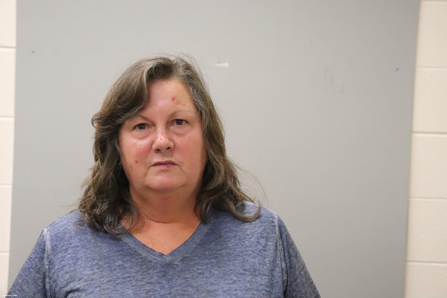WINDHAM MARY JANE 06/13/2021 - Madison County Mugshots Zone