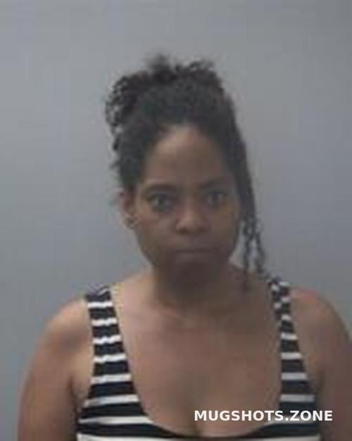 CLARICE LOUISE HAMEL 08/14/2023 - Madison County Mugshots Zone