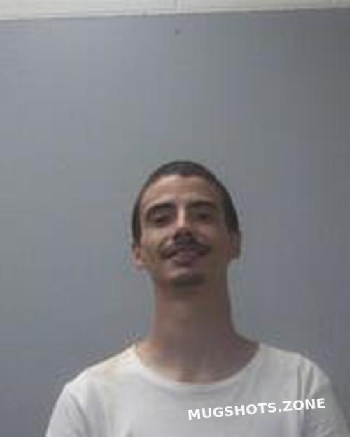 CHRISTOPHER CHARLES LOVOY 02/23/2024 - Madison County Mugshots Zone