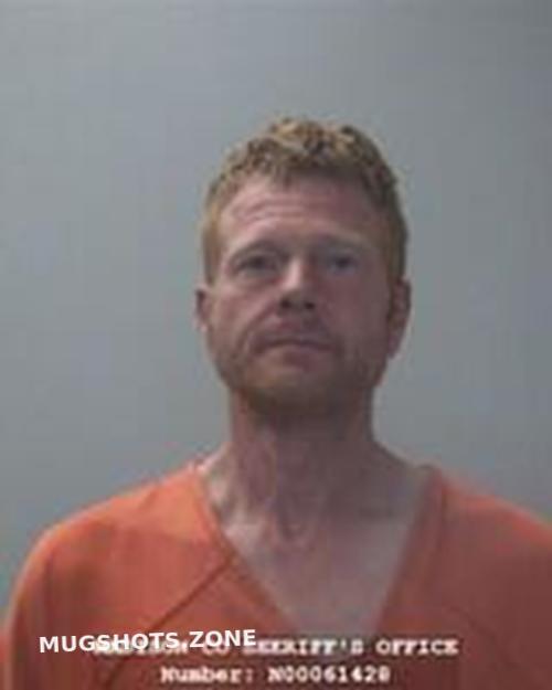 JAMES ALLEN LUEDEKE 05/19/2024 - Madison County Mugshots Zone