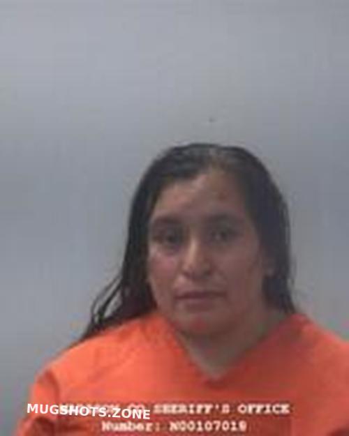 JULIA FRANCISCO 09/09/2024 - Madison County Mugshots Zone