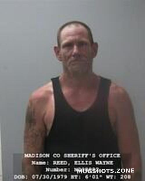 ELLIS WAYNE REED 10/29/2024 - Madison County Mugshots Zone