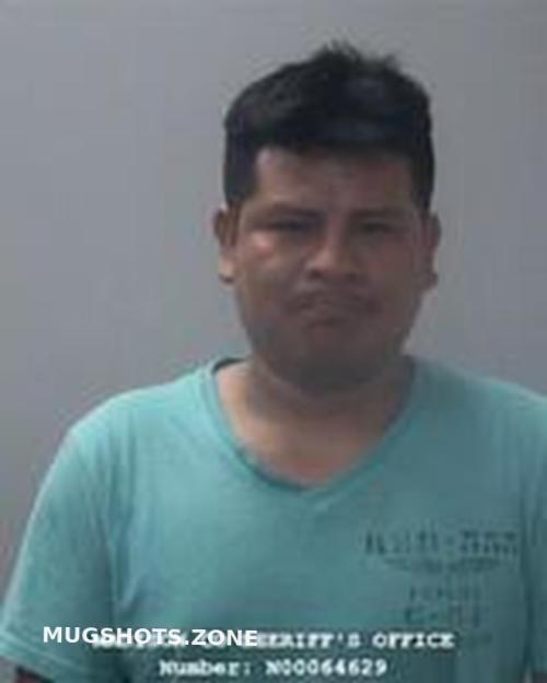 RACIEL AVIDAN CRUZ RODRIGUEZ 01/09/2025 - Madison County Mugshots Zone