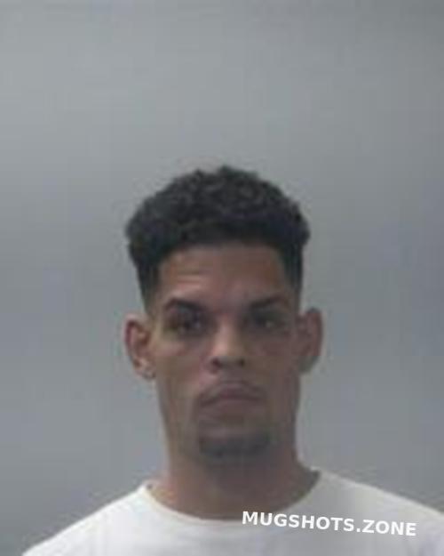 ENRIQUE DANIEL ROBLES 01/01/2026 - Madison County Mugshots Zone
