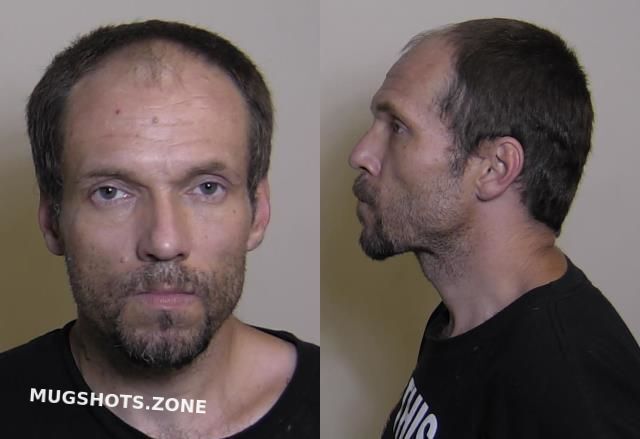 VINCENT TERRY 06/15/2024 - Madison County Mugshots Zone