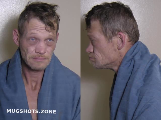 OGLE JAMES 11/04/2024 - Madison County Mugshots Zone