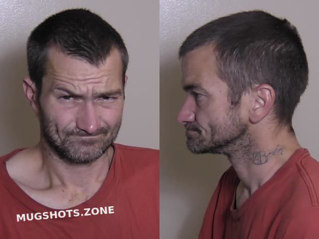 BOSTON JASON 11/11/2024 - Madison County Mugshots Zone