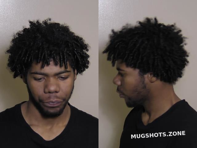 ALEXANDER DEVEN 11/14/2024 - Madison County Mugshots Zone