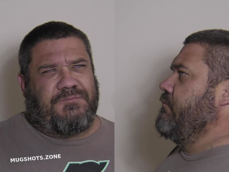 VADAS MICHAEL 11/17/2024 - Madison County Mugshots Zone