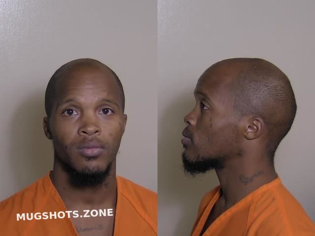 WILSON TERRY 11/20/2024 - Madison County Mugshots Zone