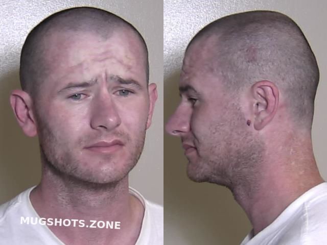 HAMPTON-YORK DENNIS 11/23/2024 - Madison County Mugshots Zone