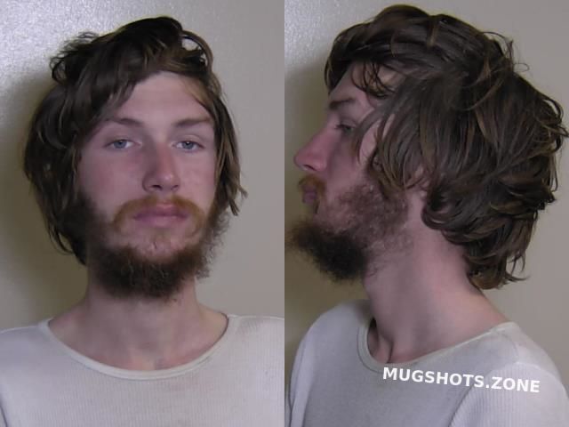 HENDRICKSON VICTOR 01/03/2025 - Madison County Mugshots Zone