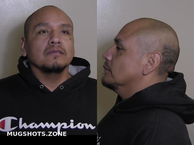 WATASHE GABRIEL 01/13/2025 - Madison County Mugshots Zone