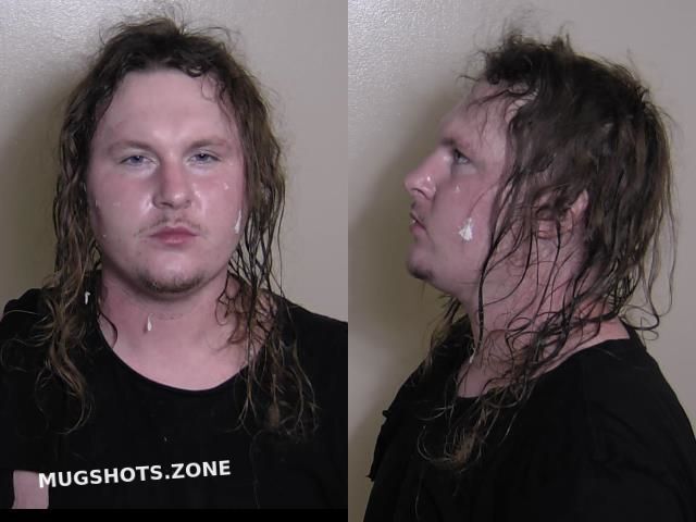 MCCAIN AUSTIN 01/14/2025 - Madison County Mugshots Zone