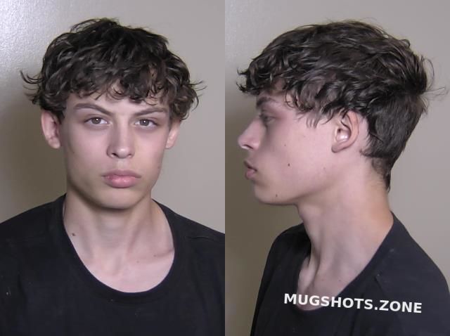 CAMERON BRYSON 01/15/2025 - Madison County Mugshots Zone
